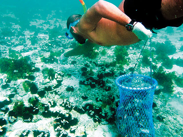 Exploring Bahrain, The Pearl Of The Gulf