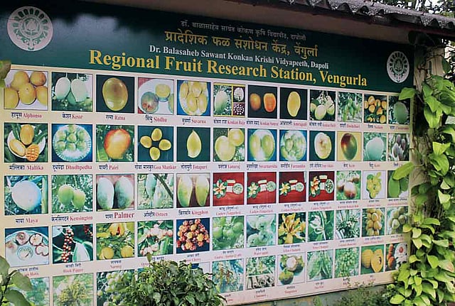 A Quick Travel Guide To Vengurla In Maharashtra