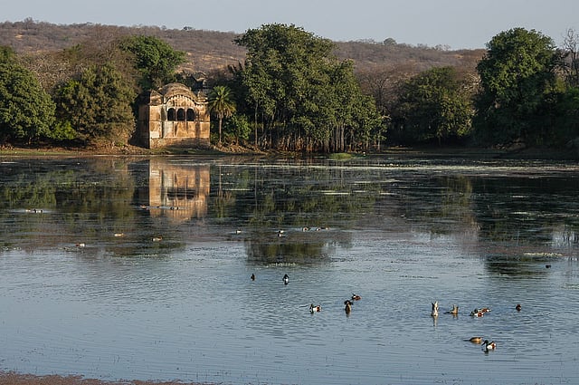 A Complete Guide To The Ranthambore National Park