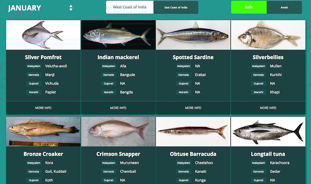 Sea Fish Names In India With Pictures - Infoupdate.org