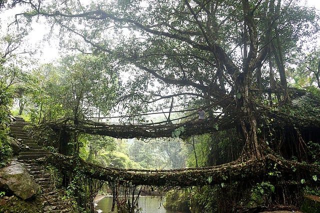 10 historical bridges in India that you should not miss