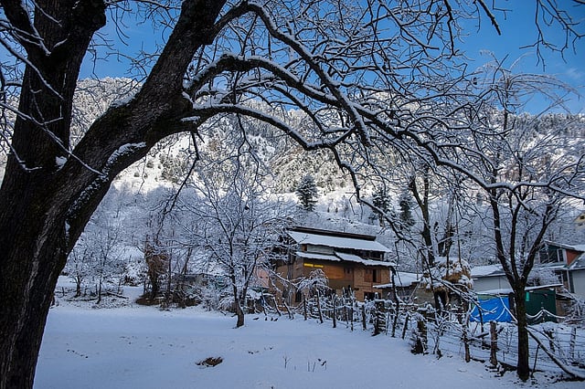 Visiting Kashmir? Here's A List Of Must-Have Local Experiences