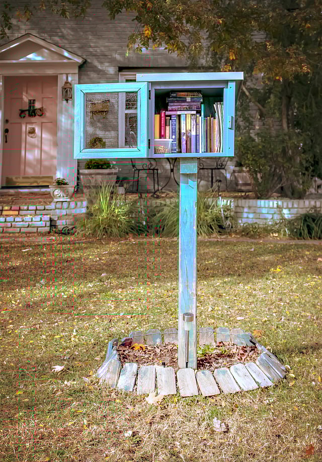 The Little Free Libraries Of The World
