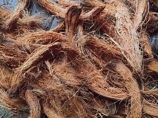 The Making Of Coir Crafts In Odisha