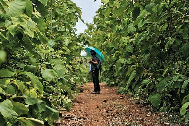 The Ancient And Medieval Charms Of The Malwa Plateau: Exploring Rock ...