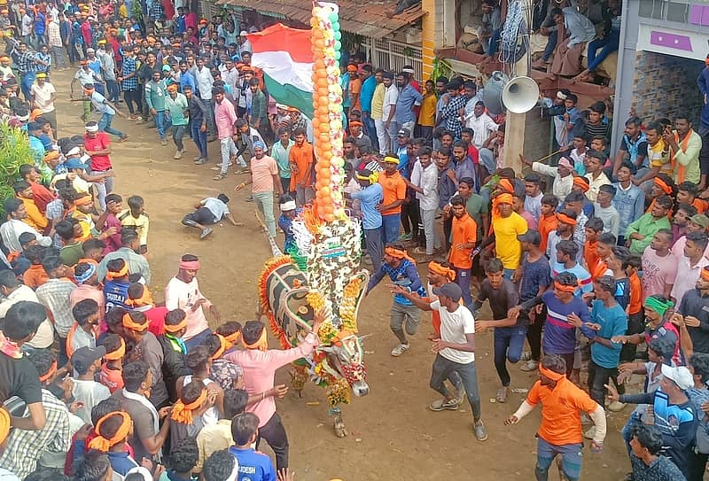 ಸಾವಿರಾರು ಜನರ ಹರ್ಷೋದ್ಗಾರದ ಮಧ್ಯೆ ಹೋರಿ ಹಬ್ಬ