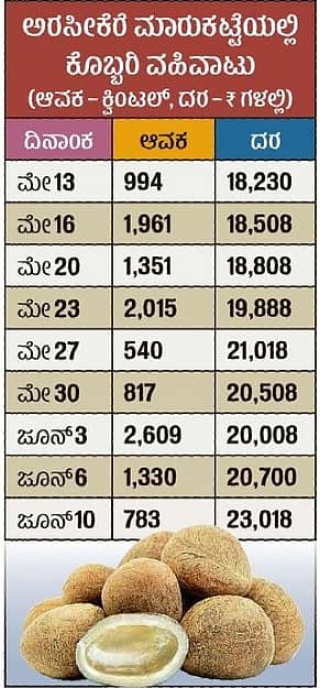 ₹23 ಸಾವಿರ ದಾಟಿದ ಕೊಬ್ಬರಿ ಧಾರಣೆ