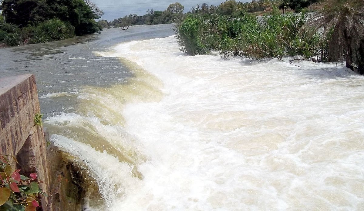 Balamuri Edamuri entry ban: ನೀರಲ್ಲಿ ಮುಳುಗಿ ಮೃತಪಟ್ಟ ಪ್ರಕರಣಗಳ ಏರಿಕೆ ...