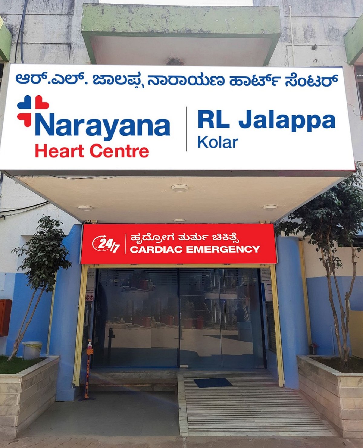 Rare Blood Group Discovery: ಕೋಲಾರ ಮಹಿಳೆಯಲ್ಲಿ ವಿಶೇಷ ರಕ್ತದ ಗುಂಪು ಪತ್ತೆ