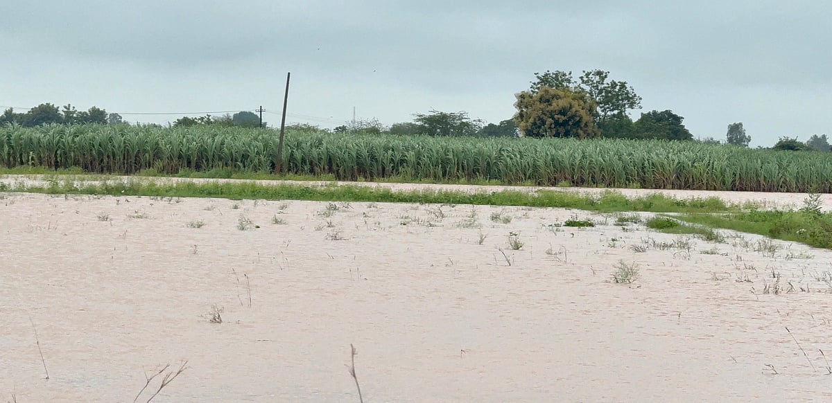Bidar Rain Havoc: ಬೀದರ್‌ | ಜನರ ಕಂಗೆಡಿಸಿದ ನಿರಂತರ ವರ್ಷಧಾರೆ