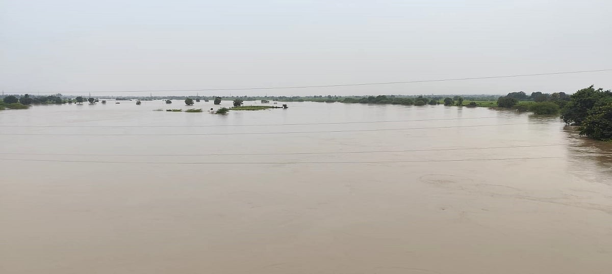 Manjara River Flood: ಬೀದರ್‌ | ಅಪಾಯದ ಮಟ್ಟದಲ್ಲಿ ಮಾಂಜ್ರಾ ನದಿ; ಜಿಟಿಜಿಟಿ ಮಳೆ