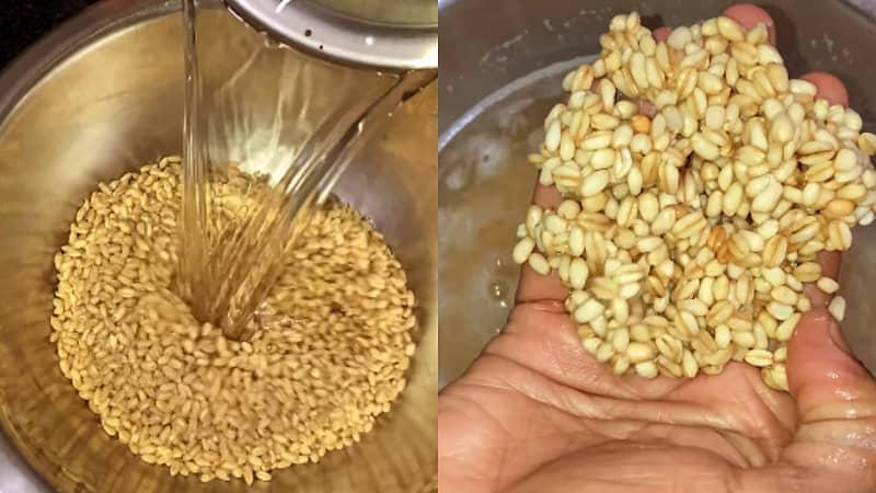 Godi huggi Recipe: ರೆಸಿಪಿ | ಉತ್ತರ ಕರ್ನಾಟಕದ ವಿಶೇಷ ಸಿಹಿ ತಿಂಡಿ ಗೋಧಿ ಹುಗ್ಗಿ ...