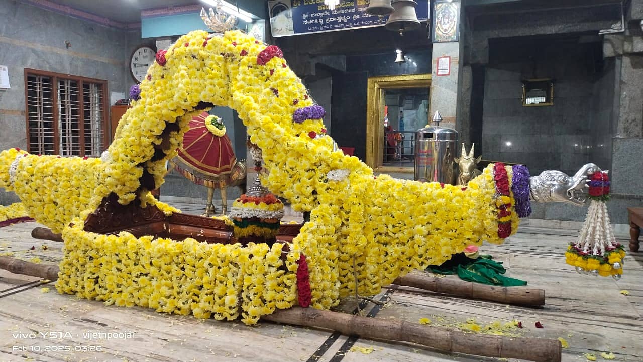 Navaratri Celebrations: ಚಿಕ್ಕಮಗಳೂರು | ನವರಾತ್ರಿ: ವಿಭಿನ್ನ, ವಿಶೇಷ