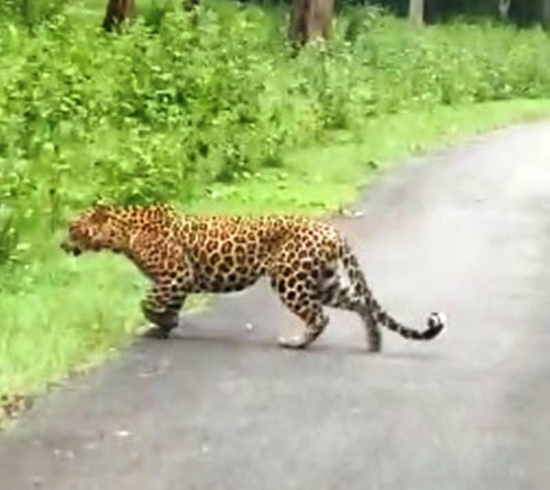 Ecotourism in Karnataka: ಖಾನಾಪುರ: ನನಸಾಗದ ಪರಿಸರ ಪ್ರವಾಸೋದ್ಯಮ ಕನಸು