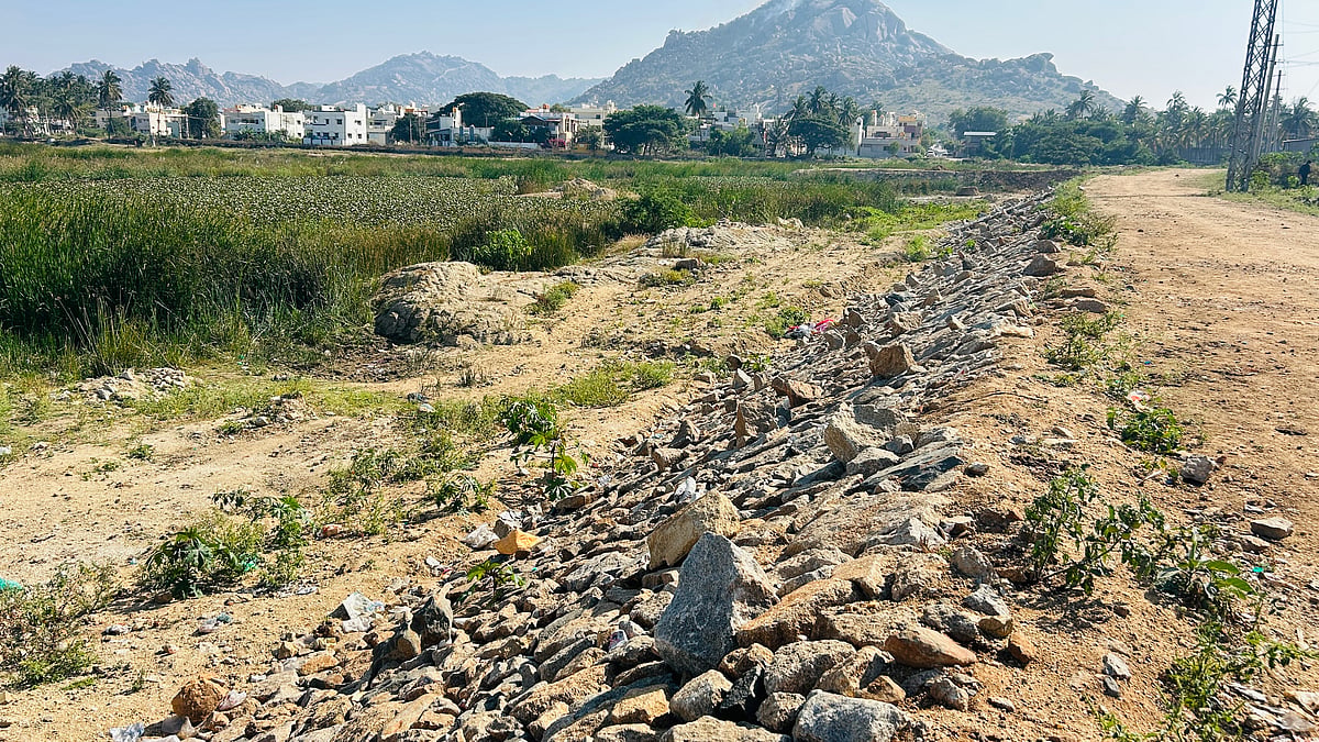 Lake Development: ಚಿತ್ರದುರ್ಗ | ಅಭಿವೃದ್ಧಿಗೆ ಗ್ರಹಣ; ನನಸಾಗದ ಸುಂದರ ಕೆರೆಯ ಕನಸು
