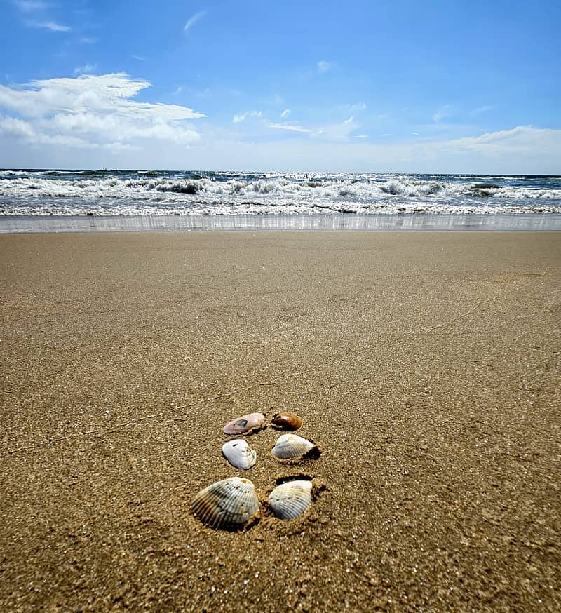 Pondicherry Tourism: ಪುದುಚೇರಿ ಪ್ರವಾಸ: ಎರಡು ದಿನದಲ್ಲಿ ಏನೆಲ್ಲಾ ನೋಡಬಹುದು ...