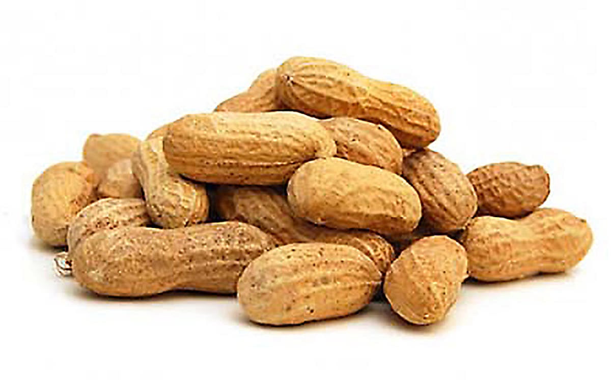 Groundnut Price Rise: ಬಳ್ಳಾರಿ: ಶೇಂಗಾ ಬೆಳೆಗೆ ದಾಖಲೆ ಬೆಲೆ