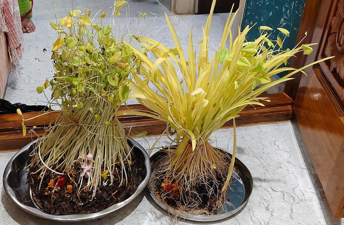 Hanur Bettalli Maramma Jatre: ಜಾಗರ ಸಮರ್ಪಣೆ: ಹನೂರು ಬೆಟ್ಟಳ್ಳಿ ಮಾರಮ್ಮನ ...
