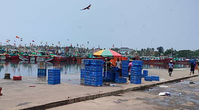 Malpe Fishing Harbor: ಉಡುಪಿ: ಏಷ್ಯಾದ ಅತಿ ದೊಡ್ಡ ಸರ್ವ ಋತು ಮೀನುಗಾರಿಕಾ ...