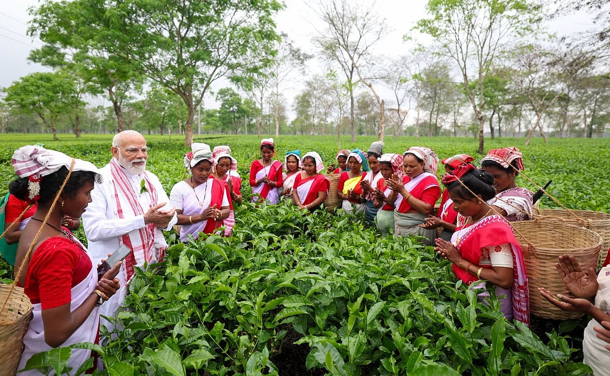 PM Narendra Modi: ಅಸ್ಸಾಂನ ಟೀ ತೋಟದಲ್ಲಿ ಕೆಲಸ ಮಾಡುತ್ತಿದ್ದ ಮಹಿಳೆಯರೊಂದಿಗೆ ...