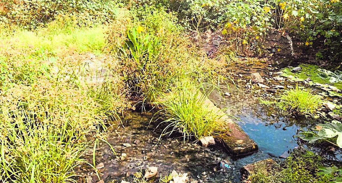 River Pollution: ತುಂಗಭದ್ರಾ ನದಿ ಸೇರುತ್ತಿರುವ ಚರಂಡಿ ನೀರು - ಕುಡಿಯಲು ...
