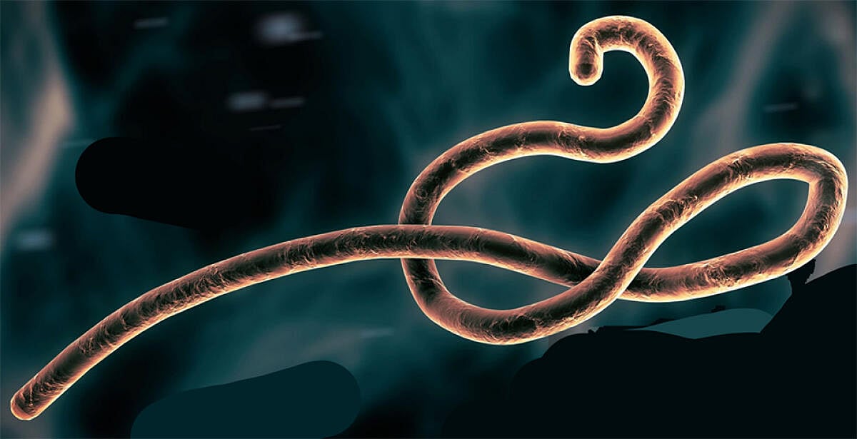 Ebola Outbreak: ಎಬೋಲಾ: ಸಾರ್ವಜನಿಕ ಆರೋಗ್ಯ ತುರ್ತು ಪರಿಸ್ಥಿತಿ ಘೋಷಿಸಿದ WHO