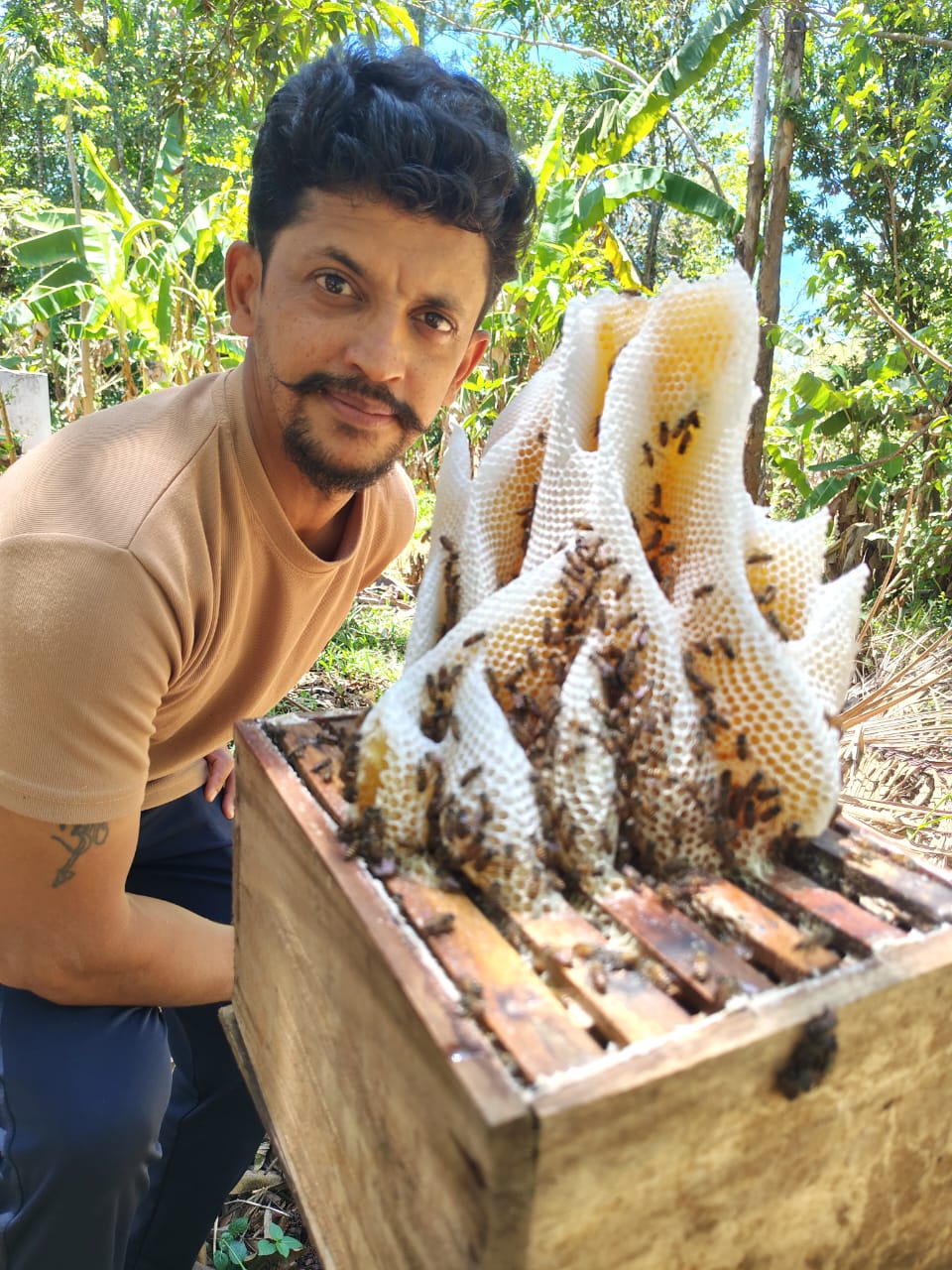 World Bee Day: ಜೇನೆಂಬ ಮಾಯೆ