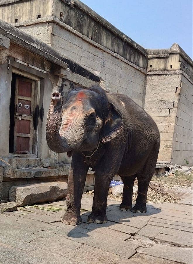 Hampi Heritage: Untitled May 28, 2026 09:52 pm