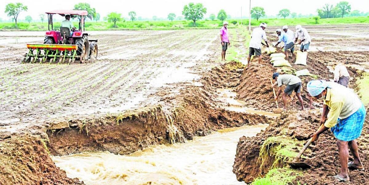 Rain Damage: ಮಳೆ ಅಬ್ಬರಕ್ಕೆ ಕೊಚ್ಚಿದ ಹೊಲದ ಬದು: ರೈತರ ಪರದಾಟ