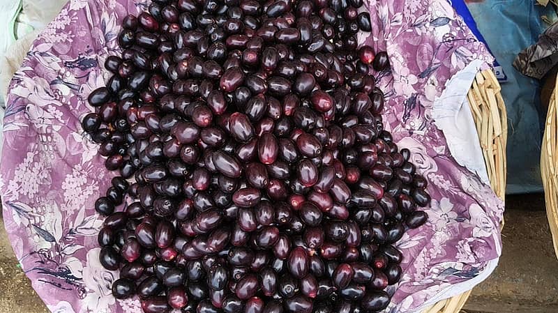 Jamun fruit demand: ನೇರಳೆ ಹಣ್ಣು.. ಬೇಡಿಕೆ ಹೆಚ್ಚು..