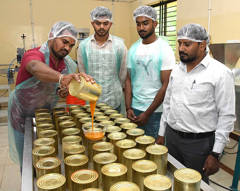 Mango Pulp Processing:ಮಾವು ತಿರುಳು ಸಂಸ್ಕರಣೆ ಮಾಡಬೇಕೇ, ಧಾರವಾಡ ಕೃಷಿ ...