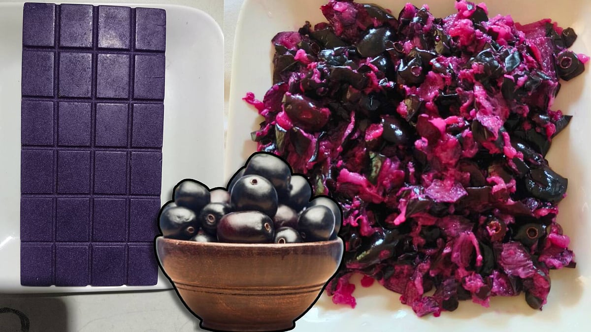 Jamun Fruit Farming: ಅನ್ನದ ಬಟ್ಟಲು | ನೇರಳೆ ಹಣ್ಣು: ಬರದ ಭೀತಿ ಬಿಡಿ ...