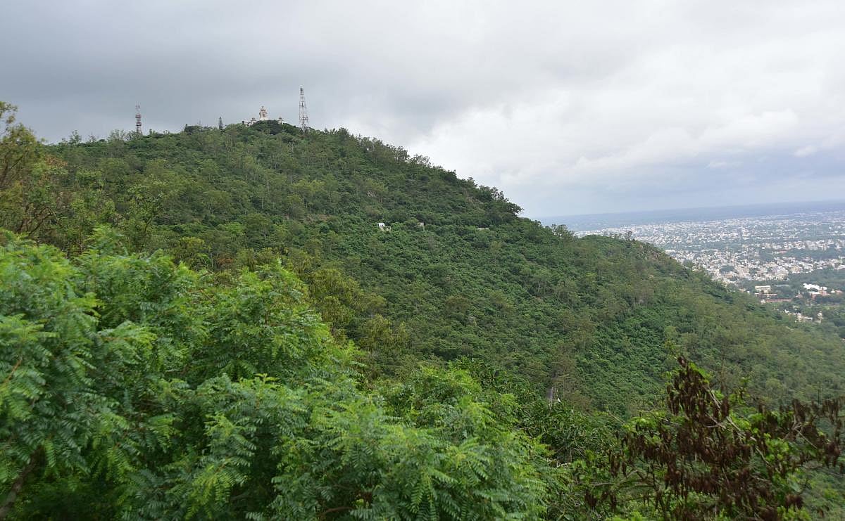 Chamundi Hills Construction: ಚಾಮುಂಡಿ ಬೆಟ್ಟದಲ್ಲಿ ಶಾಶ್ವತ ನಿರ್ಮಾಣ ಸಲ್ಲ ...