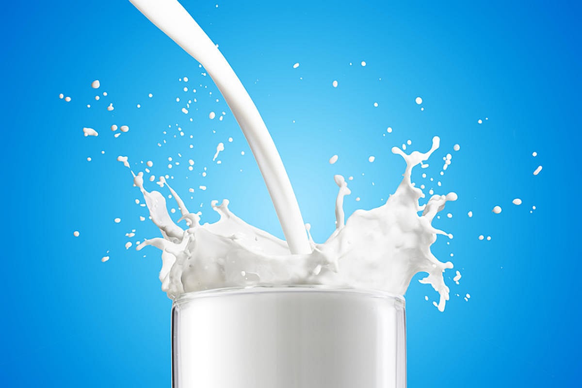 Amul milk price hike: Untitled May 13, 2026 07:58 pm