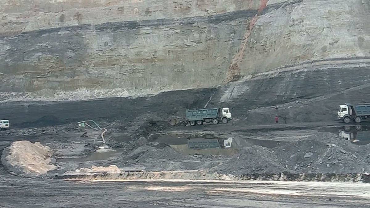 THDC India begins commercial operations at Amelia coal block in MP: CMD
