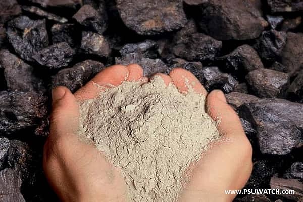 DVC organises webinar on ‘Innovative ways of Fly Ash Utilisation’