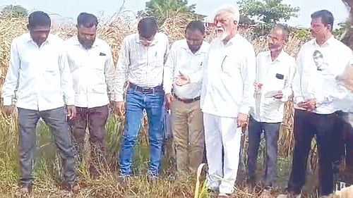 Malegaon Ola Dushkal : अतिवृष्टीने 13 हजार हेक्टरला फटका