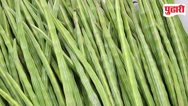 लालबहादूर शास्त्री बाजारात भाज्या व फळांचे भाव स्थिर|pimpri vegetable ...