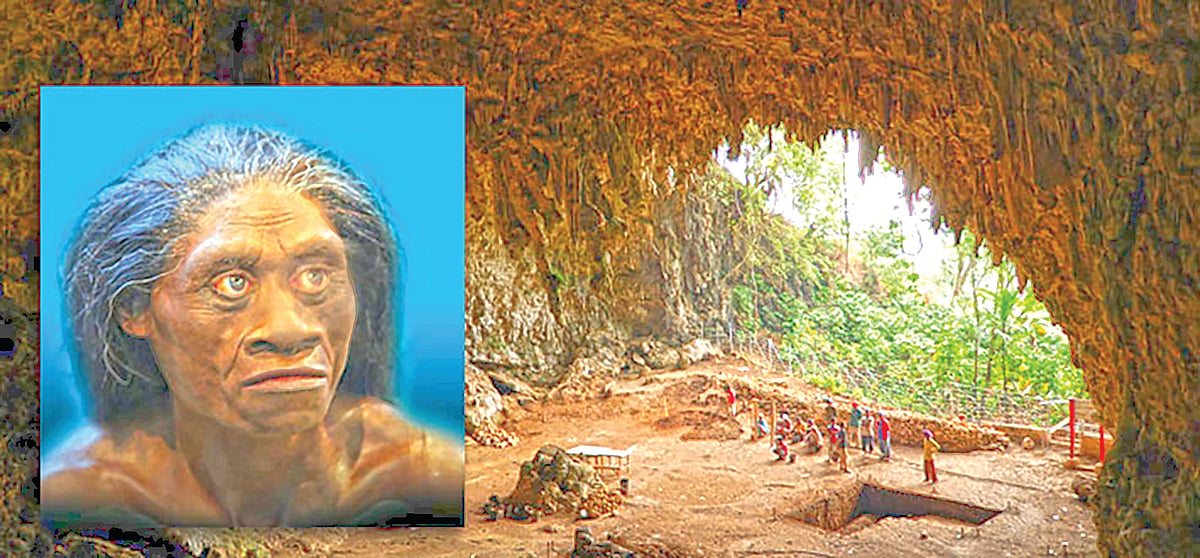 Hobbit humans: दुष्काळामुळे नष्ट झाली बुटकी ‌‘हॉबिट‌’ मानव प्रजाती?