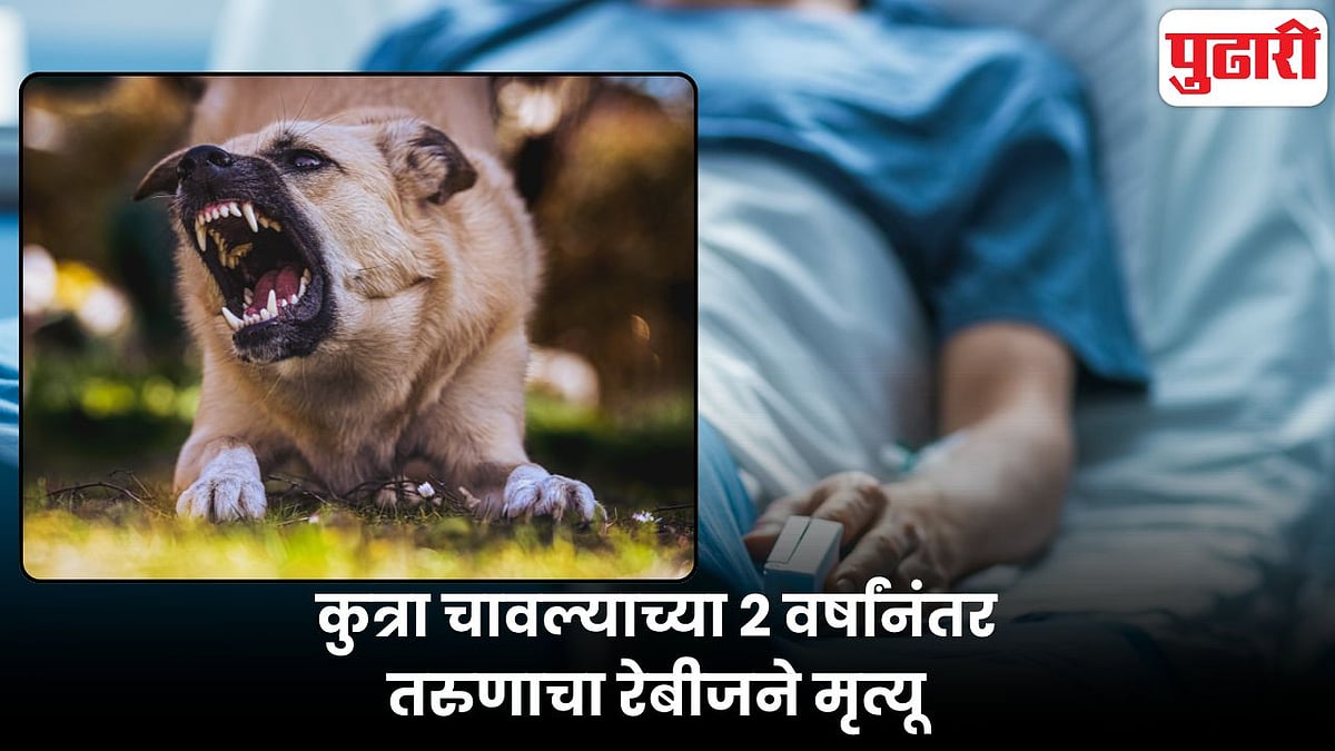 Rabies Death: धक्कादायक! कुत्रा चावल्याच्या २ वर्षांनंतर तरुणाचा ...