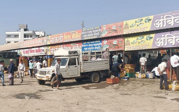 Bhigwan Fish Market: भिगवणच्या दुय्यम मासळी बाजारात भुगाची दुर्गंधी ...