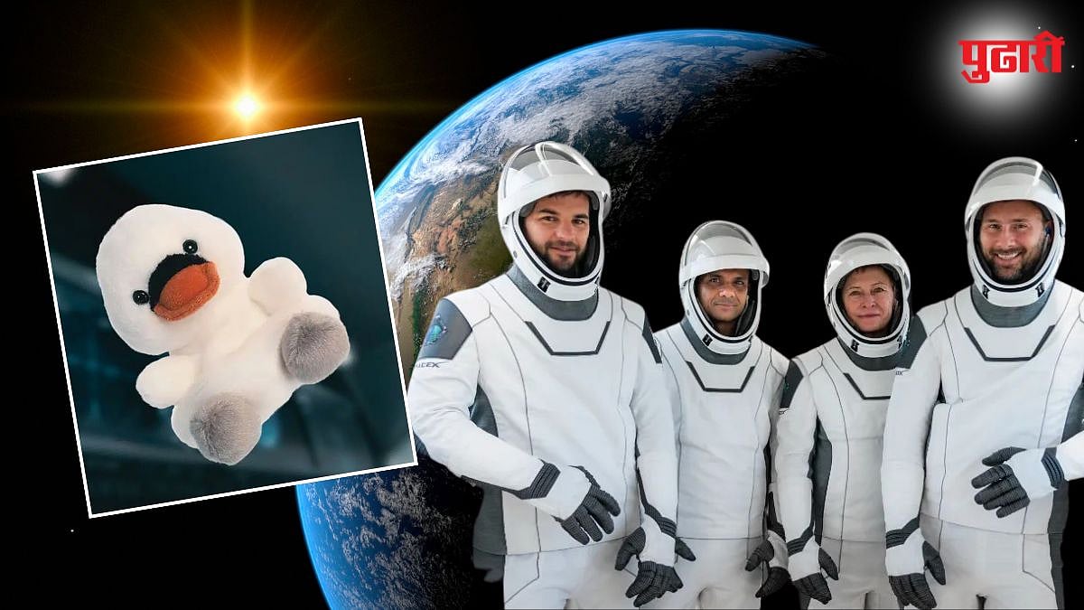 Joy the swan | अ‍ॅक्सिओम-4 मोहिमेत अंतराळयानात 'ही' मोठी कामगिरी पार ...