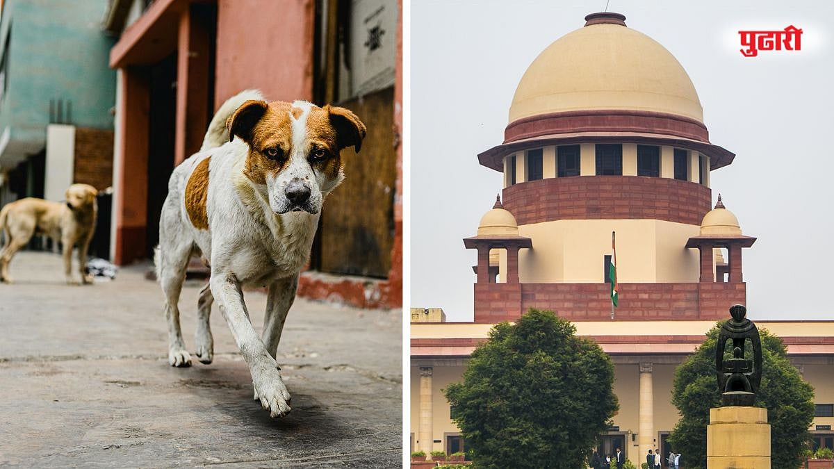 Supreme Court : माणसाची भीती ओळखूनच कुत्रे हल्ला करतात' ; सर्वोच्च ...