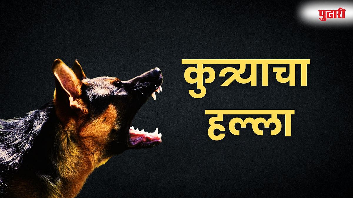 Stray Dog Attack : बेळगावात बालकाला कुत्र्यांनी फरफटत नेले