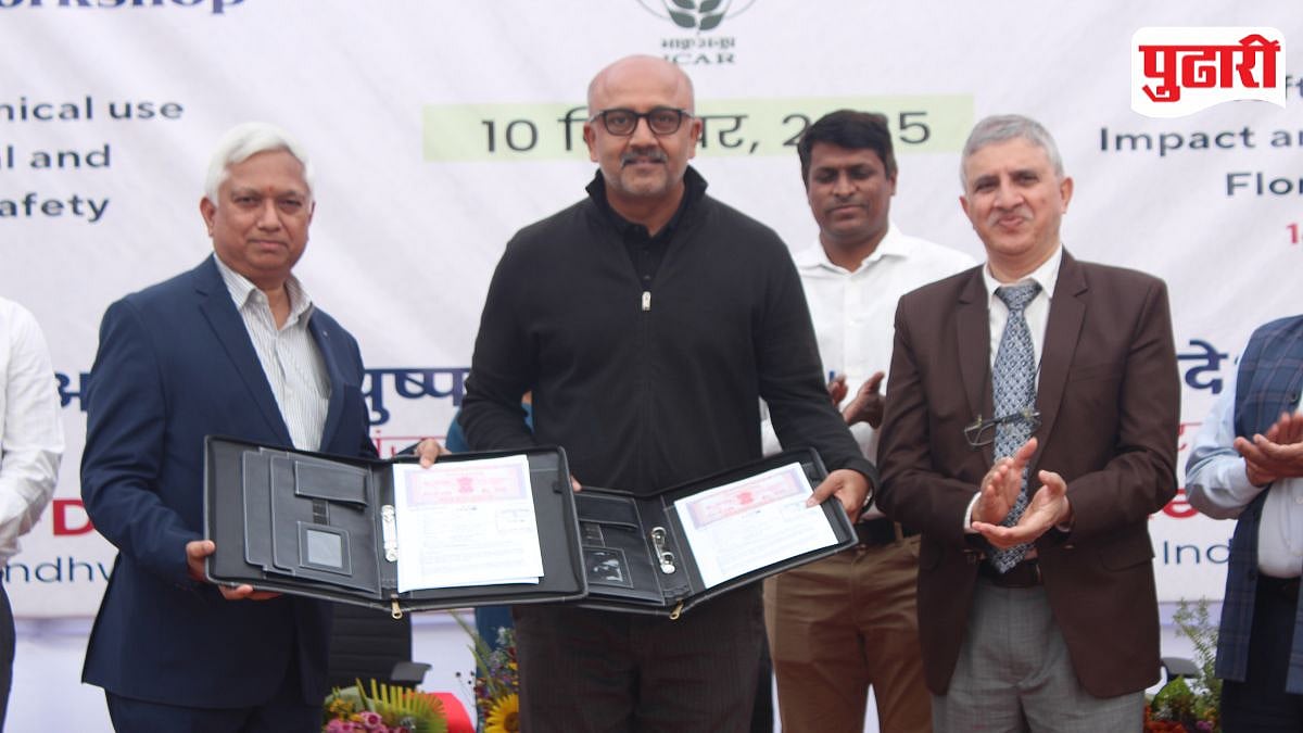 ICAR DFR Technology: गुलाब अधिक काळ ताजा राहणार; केंद्राच्या ...