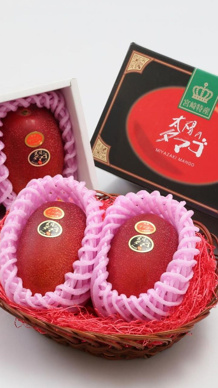 Miyazaki Mango | जगातील सर्वात महागडा आंबाः एका नगाची किंमत 10 हजार रुपये