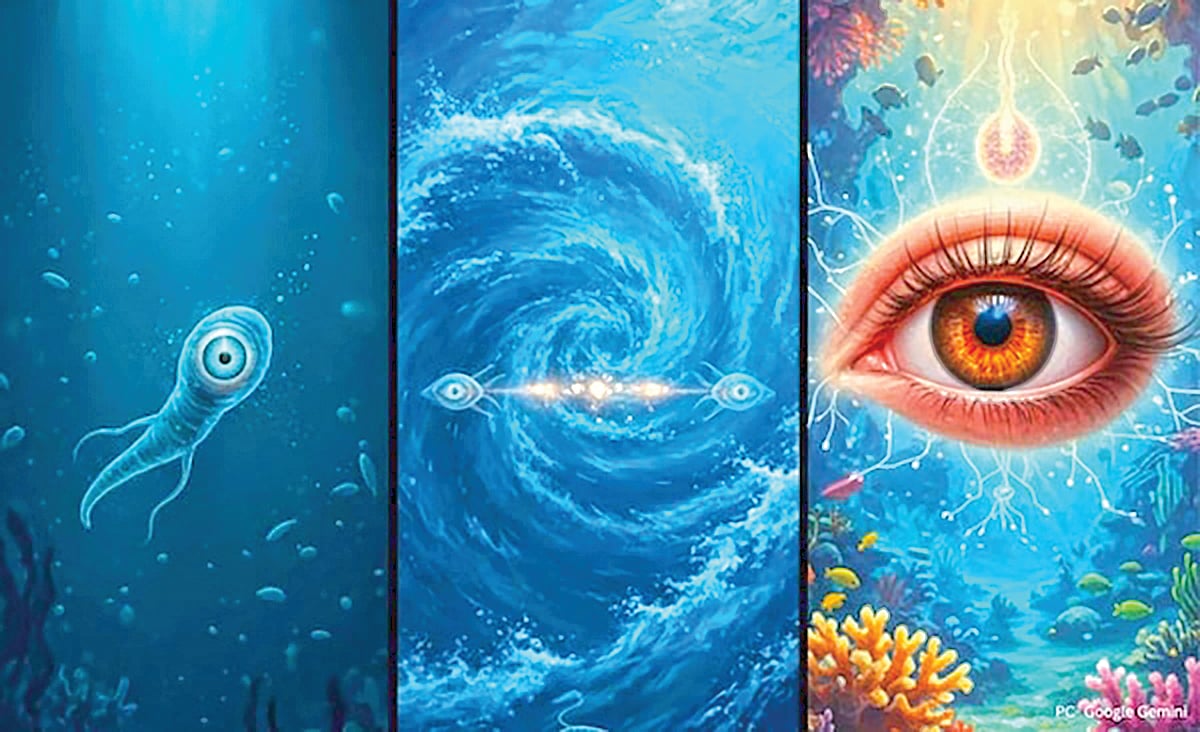 Humans Third Eye Discovery | प्रत्येक मानवाजवळ आजही आहे ‘तिसरा डोळा’!