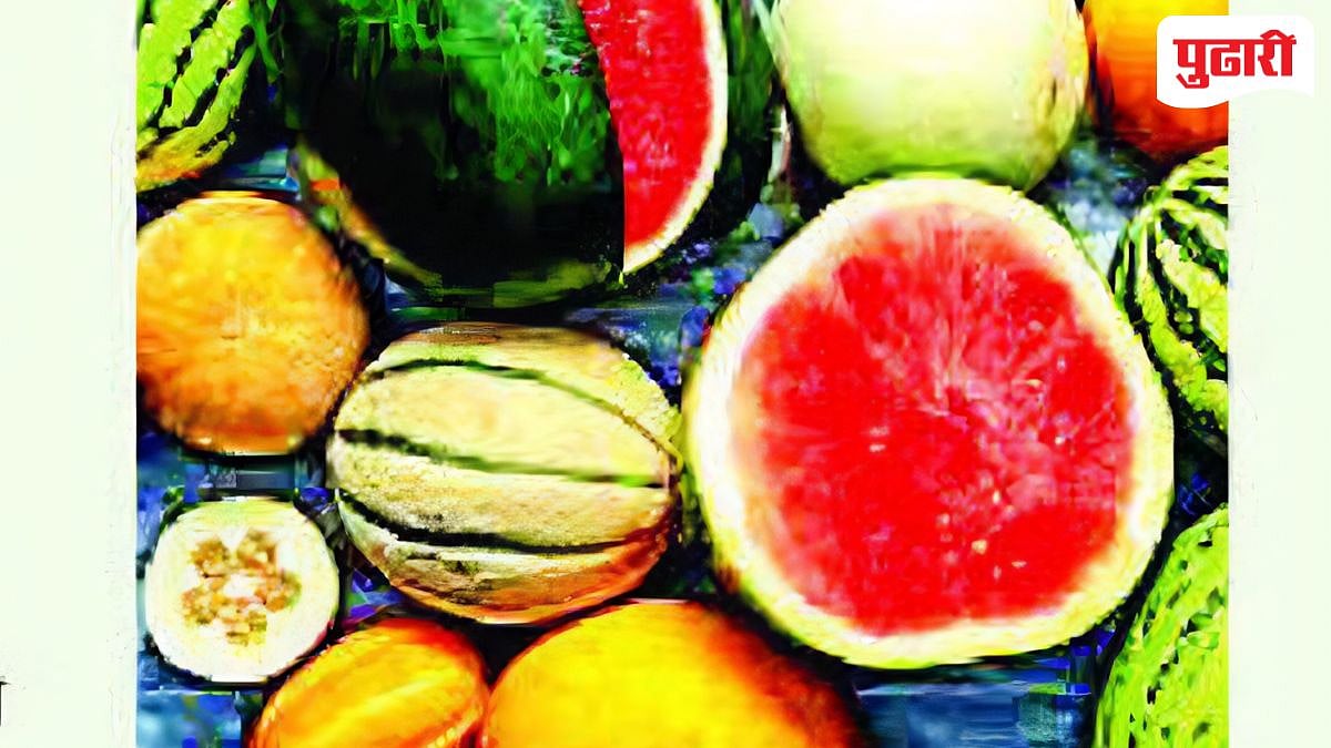 पपई, टरबूज, खरबुजाची बाजारात धूमsummer-fruits-flood-jalna-market-papaya ...