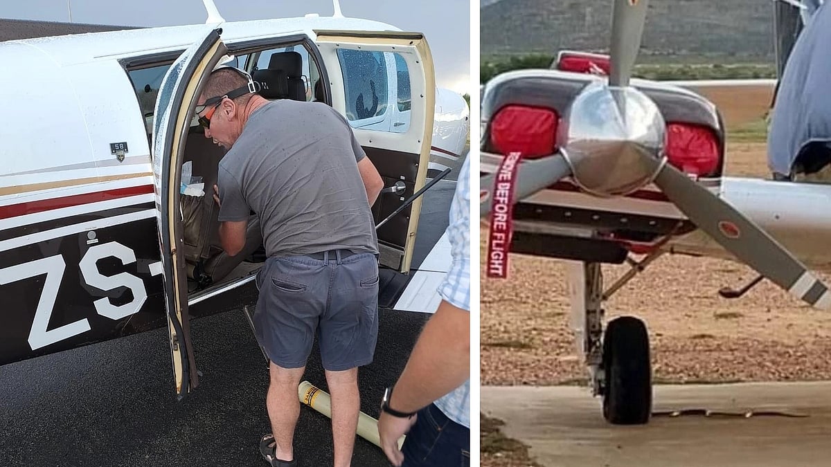 Cobra on plane in South Africa freaks out pilot, passengers