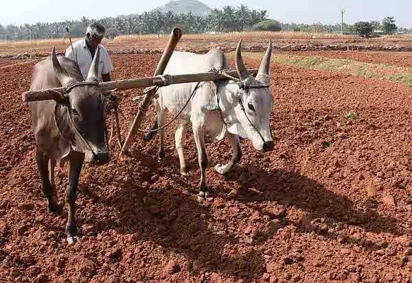 ’உலகிற்கு ஊக்கத்தைத் தந்த ஊன்றுகோல்’ - உவமைக் கவிஞர் சுரதா பிறந்த தின ...